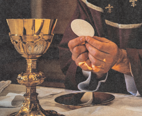 USCCB Launches Heart of the Revival Weekly Newsletter | Catholic ...